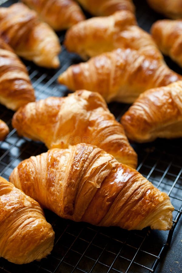 Fresh croissants stock photo. Image of fresh, bread, french - 25978844
