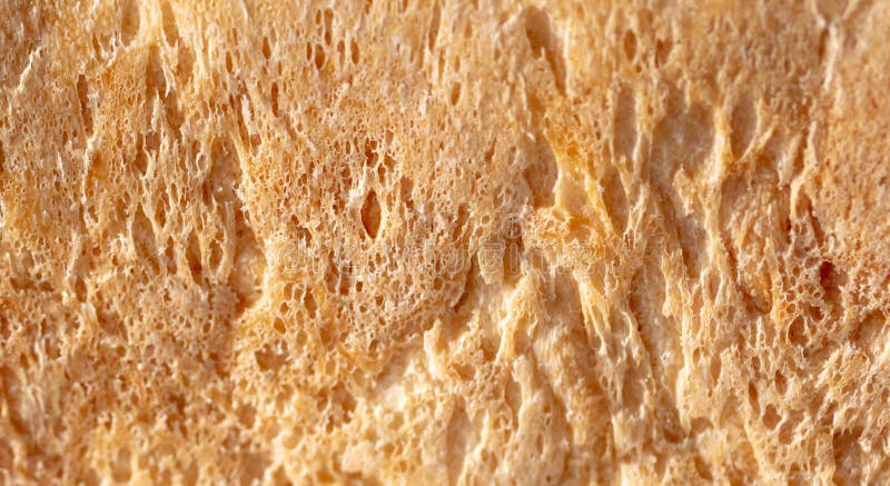 Fresh Crusty Bread As Background Stock Photo - Image of texture, wheat ...
