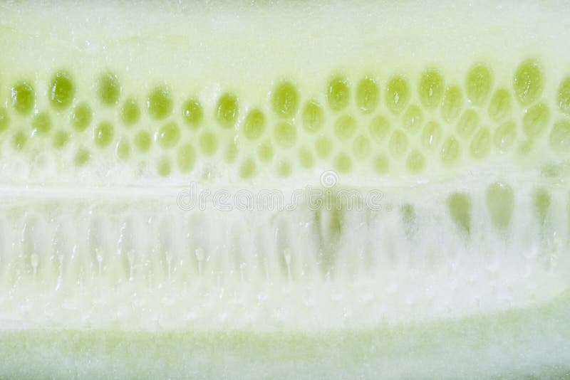 Fresh cucumber close-up stock image. Image of nutrition - 43038829