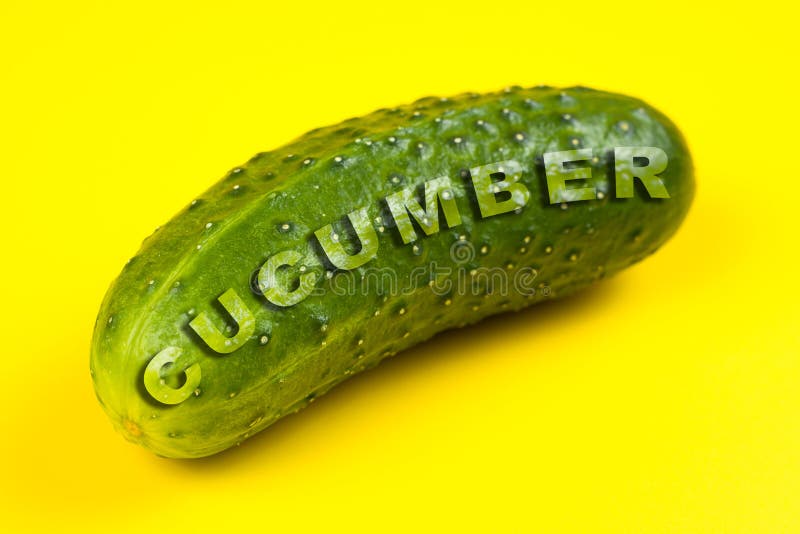 Fresh Cucumber Isolated on Yellow Background. Word CUCUMBER Stock ...