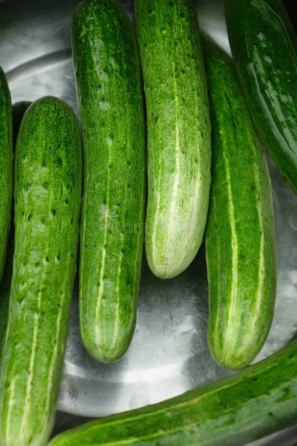 Fresh cucumber stock photo. Image of details, green, background - 40337948