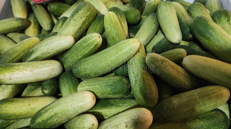 Fresh Cucumber in the Market Place Stock Photo - Image of fruit ...