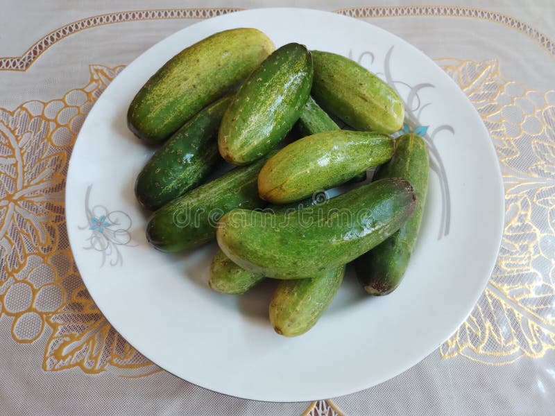 Fresh Cucumber in a Plate at Table Stock Photo - Image of cucumbers ...