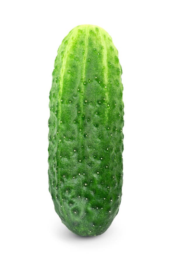 Fresh cucumber stock photo. Image of nutrition, healthy - 50991462