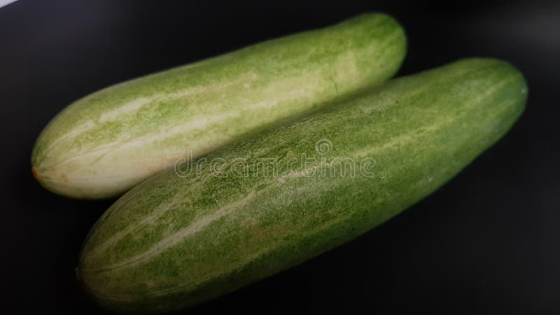 2 Fresh Cucumbers (cucumis Sativus), Picture Taken from Several Angle ...