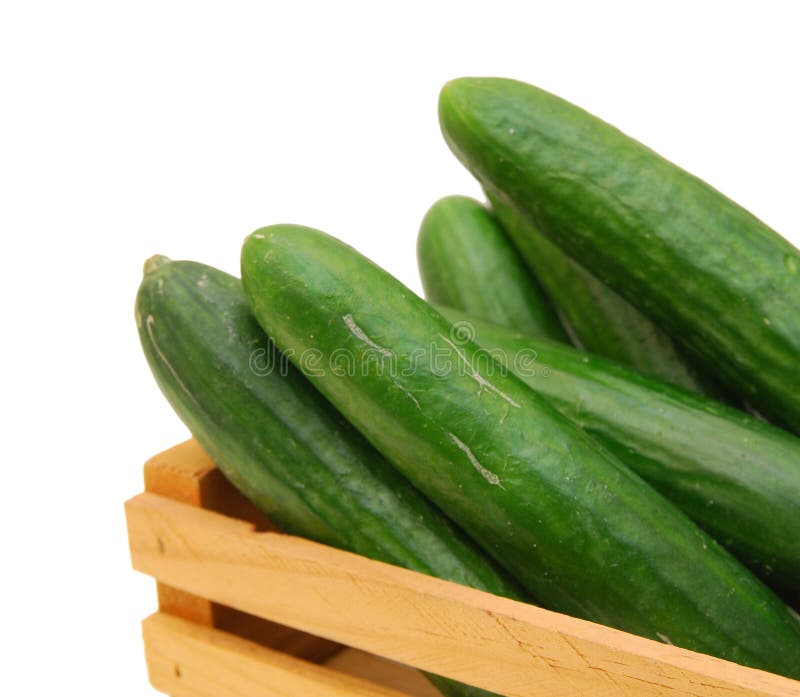 Fresh cucumbers stock image. Image of nature, cucumbers - 67413601
