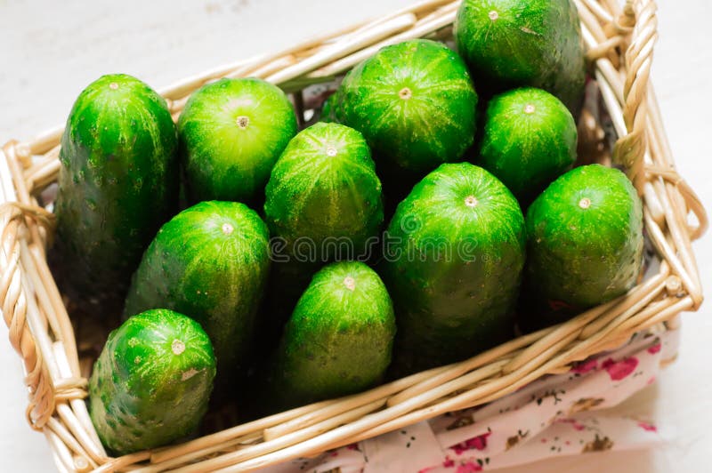 Fresh Cucumbers are in the Top View Stock Photo - Image of nature ...