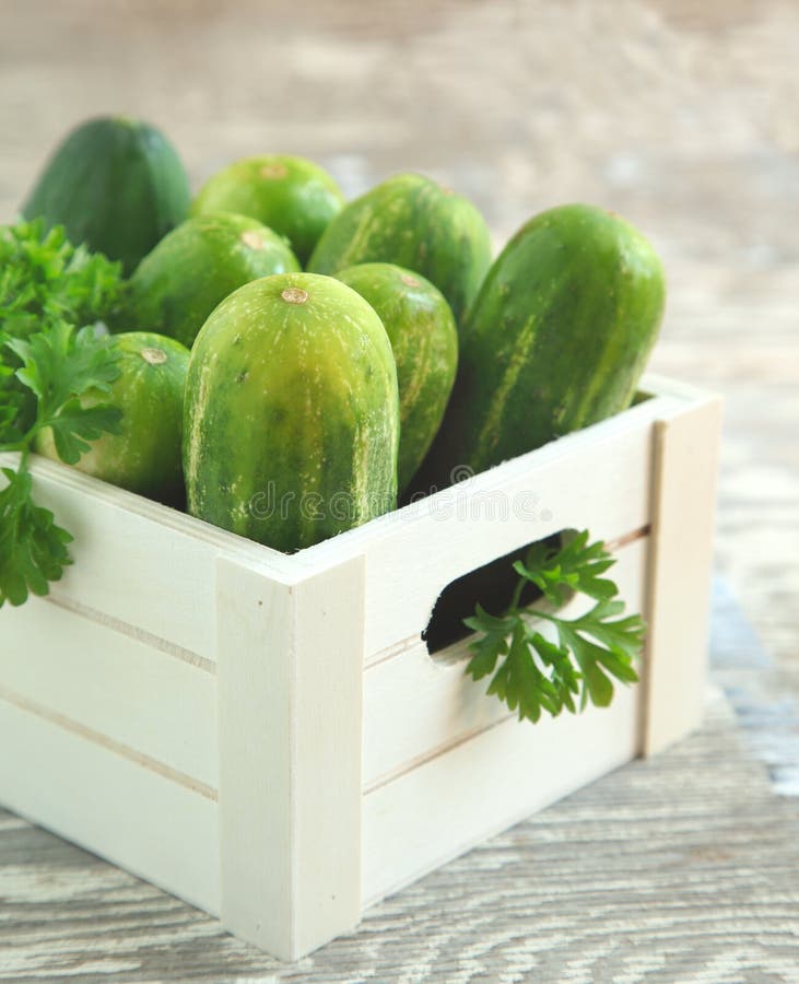 Fresh Cucumbers in Wooden Box Stock Photo - Image of wooden, cucumber ...