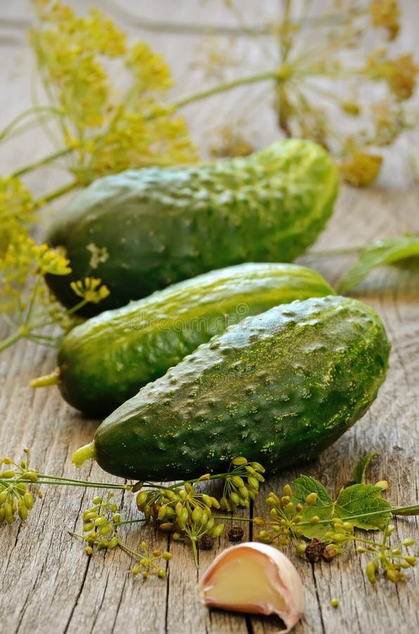 Fresh cucumbers stock photo. Image of agriculture, closeup - 34475578