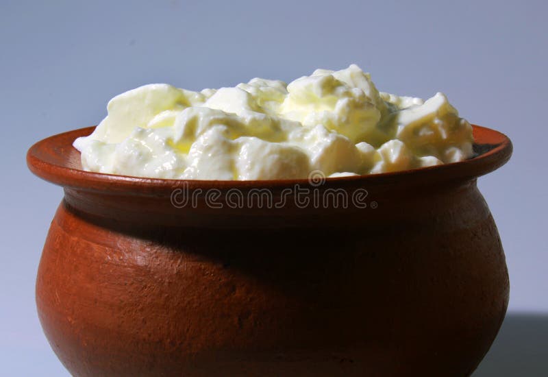 A Top View of Fresh Curd on Clay Pot with Palm Tree Leaf Plate Stock ...