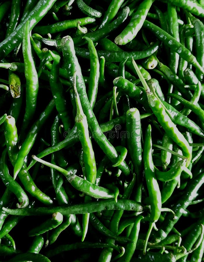 Fresh Curly Green Chillies and Spicy Stock Photo - Image of fruit, land ...