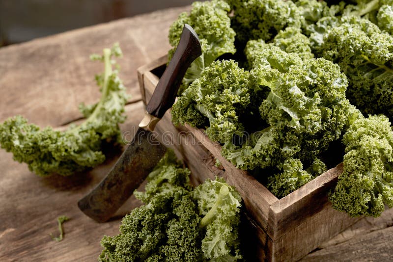 Fresh Curly Kale in Wooden Box on Table Stock Photo - Image of ...