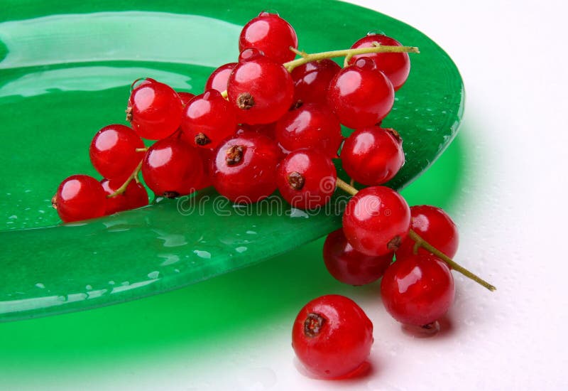 Fresh currants in bowl stock image. Image of fruits, ripe - 12140307