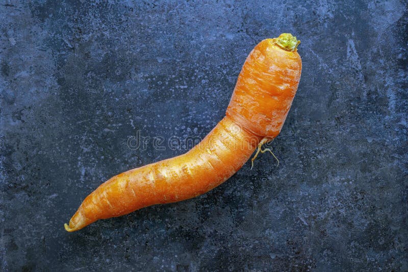 Fresh Curved Carrot on Old Metal Table Stock Image - Image of orange ...