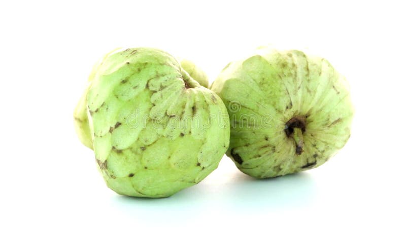 Fresh Custard Apple Fruit in Tropical Garden Stock Video - Video of ...