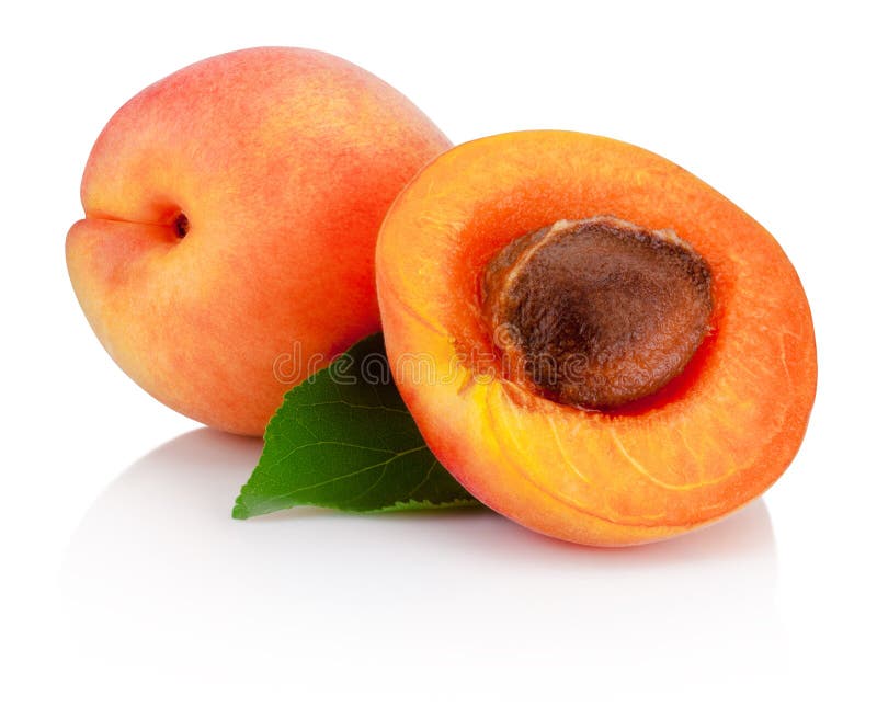 Fig fruits and leaf stock photo. Image of leaf, delicious - 5260946