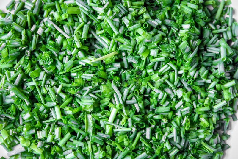 Fresh Cut Chives Closeup View Stock Image - Image of chopped, freshness ...