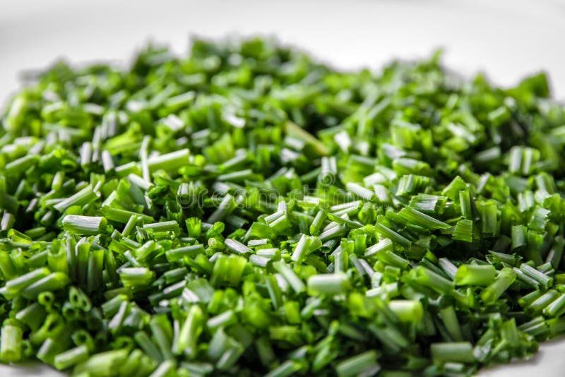 Fresh Cut Chives Closeup View Stock Image - Image of chives, chive ...