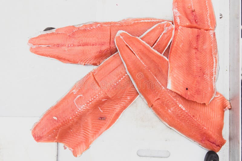 Fresh cut coho salmon stock photo. Image of fresh, fillet - 202734666