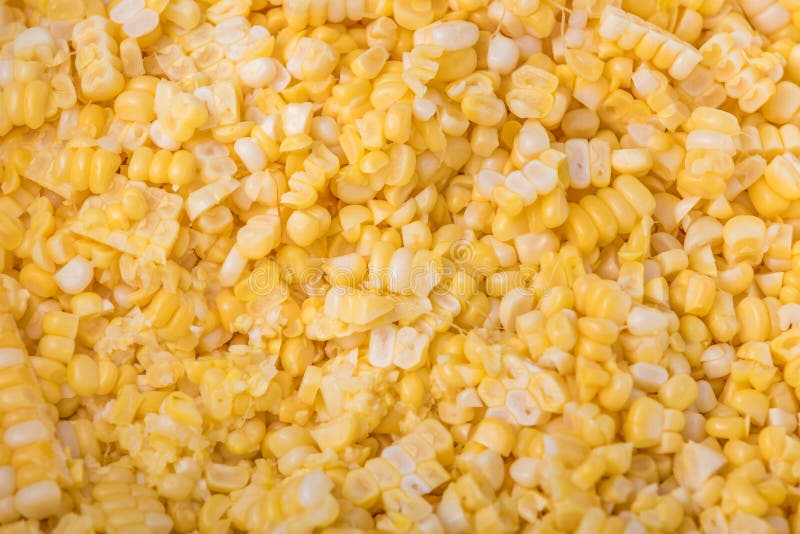 Fresh Cut Corn stock image. Image of close, grain, organic - 102999979