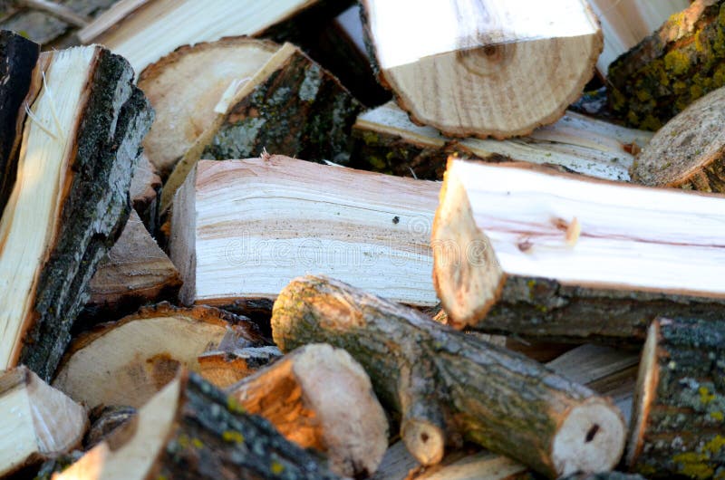 Fresh cut firewood stock photo. Image of firewood, stack - 58785376