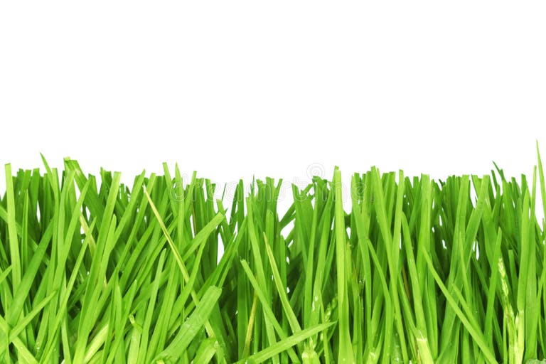 27,502 Fresh Cut Grass Stock Photos - Free & Royalty-Free Stock Photos ...
