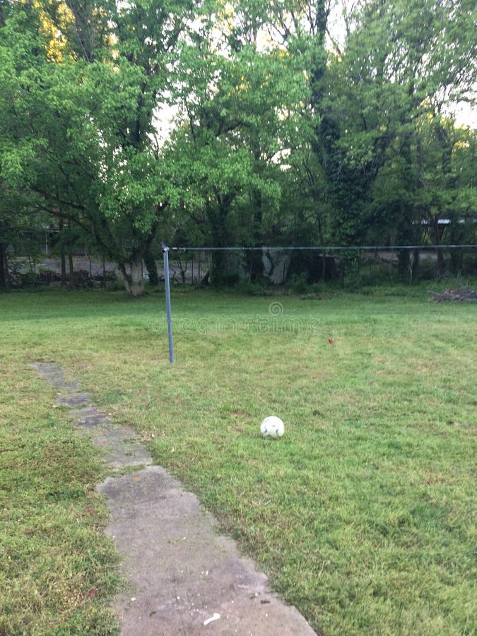 Fresh cut grass stock photo. Image of organic, fresh, garden - 4428352