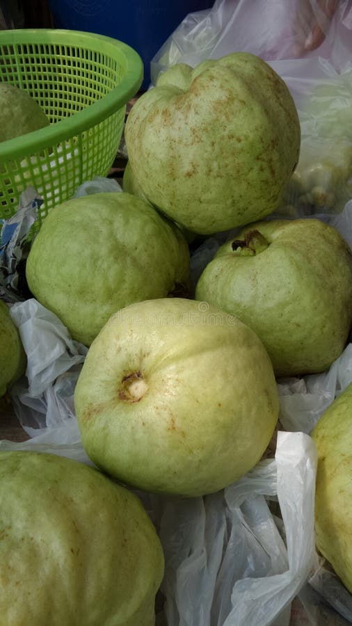 Fresh cut Guava stock image. Image of fresh, tropical - 49525377