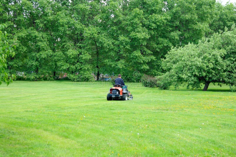 Fresh Cut lawn stock photo. Image of mowing, turf, lush - 5320718