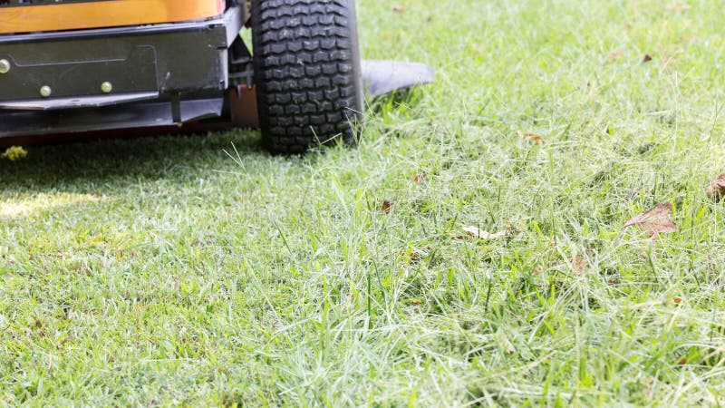 Fresh cut lawn and mower stock image. Image of lawn, outdoors - 97307075