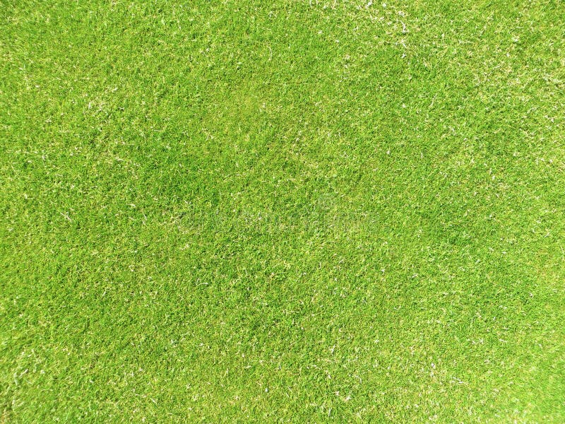 Fresh cut lawn stock photo. Image of concept, environment - 45870534