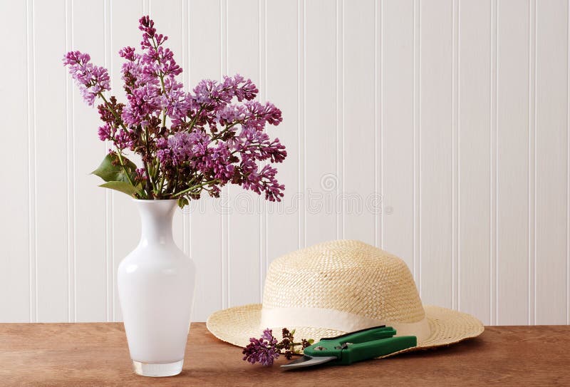 Fresh cut lilac flowers stock photo. Image of nature - 25281248