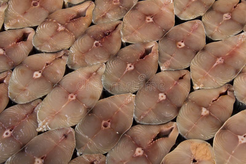 Fresh cut mackerel fish stock photo. Image of slice, healthy - 59152440