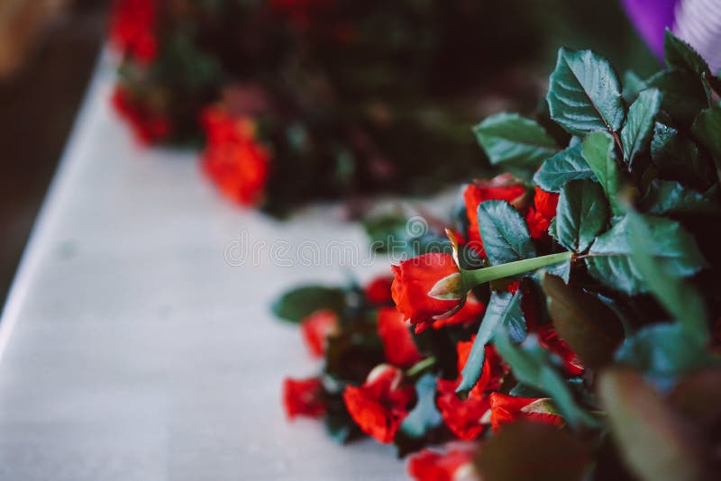 Fresh Cut Red Roses Lie on the Table Stock Image - Image of handicraft ...