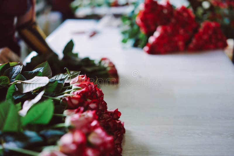 Fresh Cut Red Roses Lie on the Table Stock Image - Image of lady ...