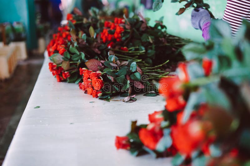 Fresh Cut Red Roses Lie on the Table Stock Image - Image of bloom ...