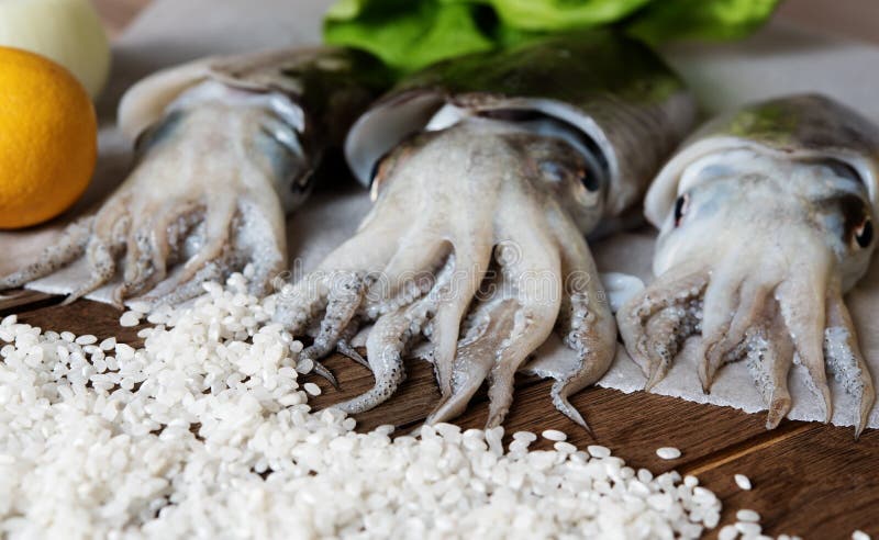 Fresh Cuttlefish with Vegetables Stock Image - Image of gourmet ...