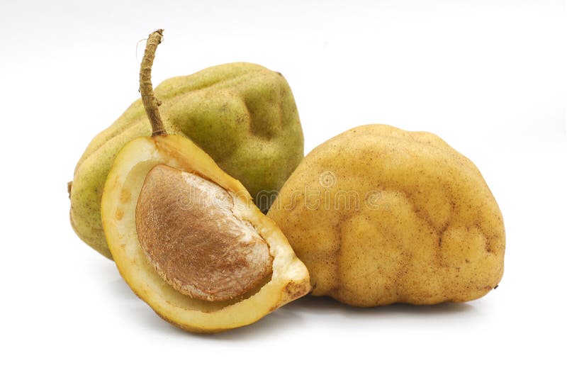 Naminam /namnam Fruit Cynometra Cauliflora Stock Image - Image of ...