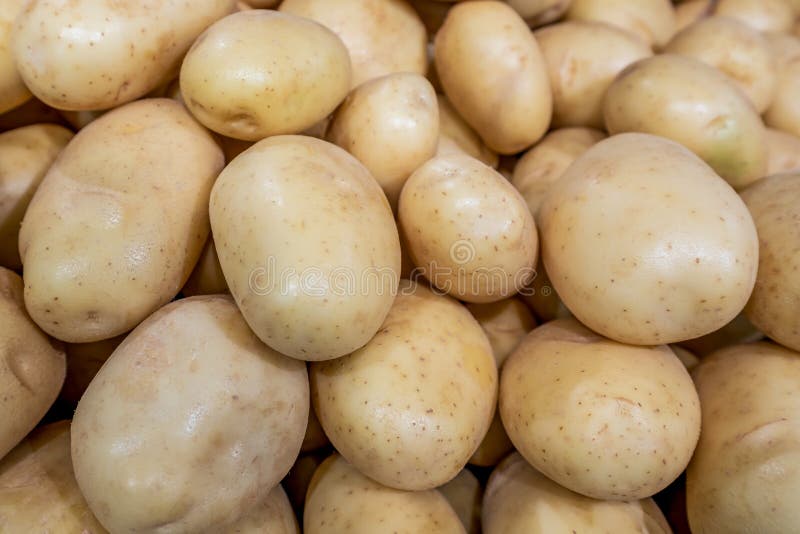 Fresh Cyprus Potatoes stock image. Image of cooking - 121059807