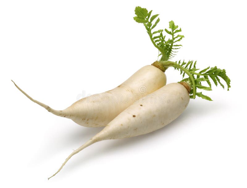 Fresh Daikon White Radish with Leaves Isolated Stock Photo - Image of ...