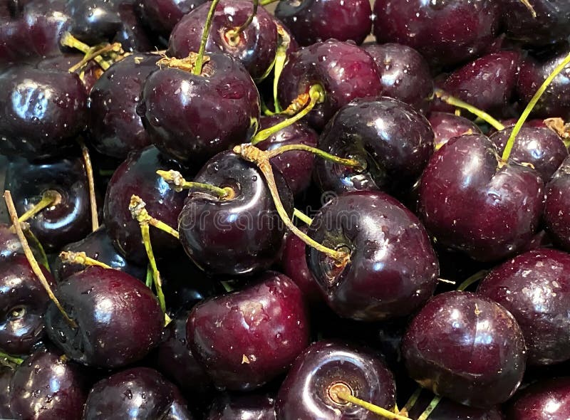 Red cherries background stock photo. Image of healthy - 41241492