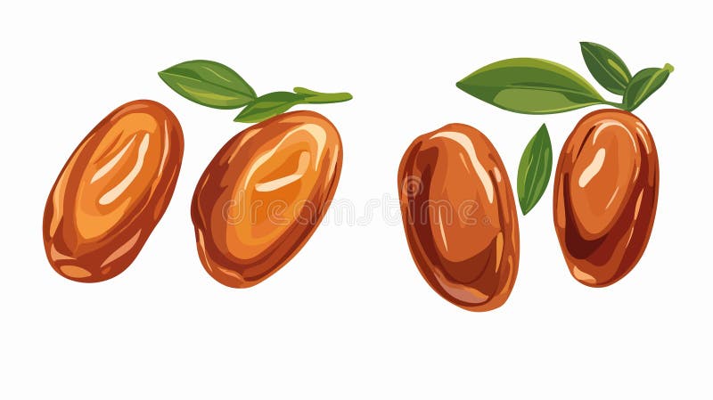 Fresh Date Fruit Flat Vector Illustration on White Background Stock ...