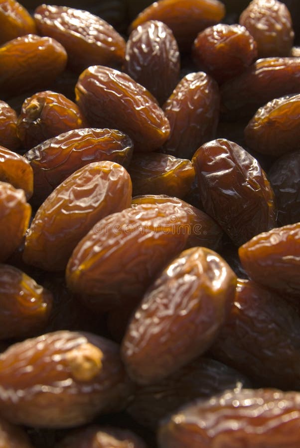 Fresh dates stock image. Image of fruit, palm, delicious - 3316571