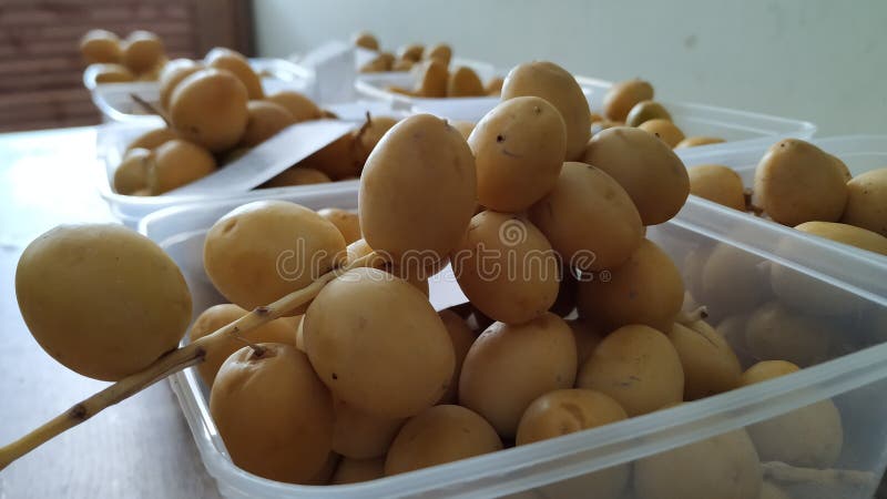 Fresh dates fruit prepared stock image. Image of balah - 201359339