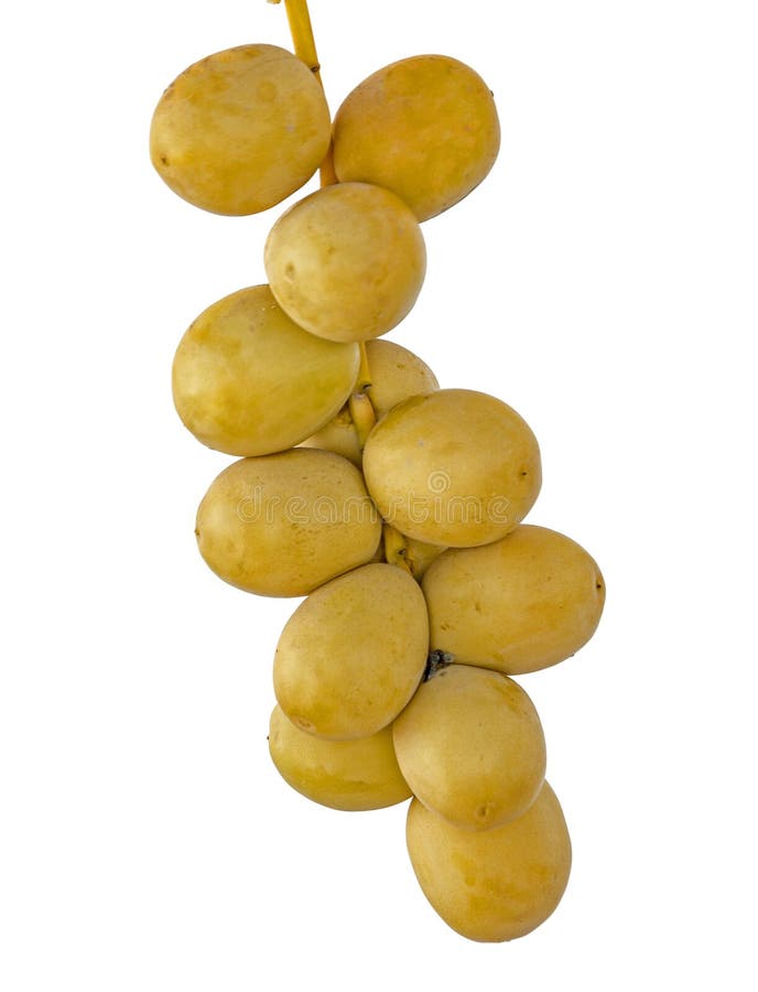 Fresh Dates Isolated on White Stock Image - Image of food, fresh: 159701619