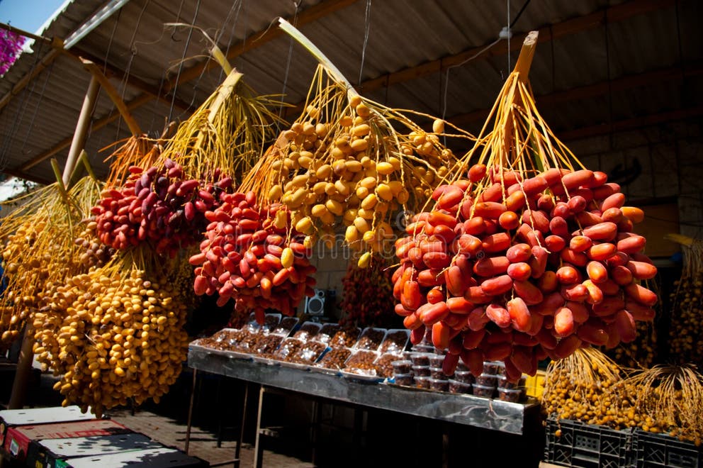 Fresh Dates at Jericho Market Stock Image - Image of jordan, plant ...