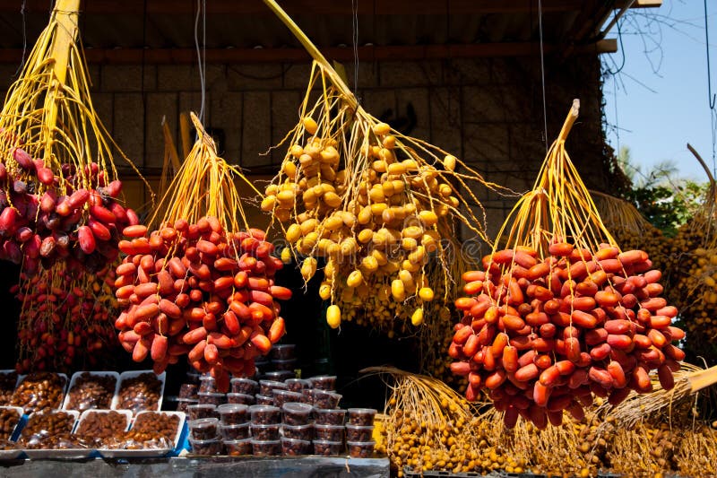 Fresh Dates at Jericho Market Stock Photo - Image of valley, market ...