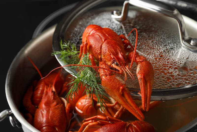 Fresh Delicious Crayfish Over Pot, Closeup View Stock Photo - Image of ...