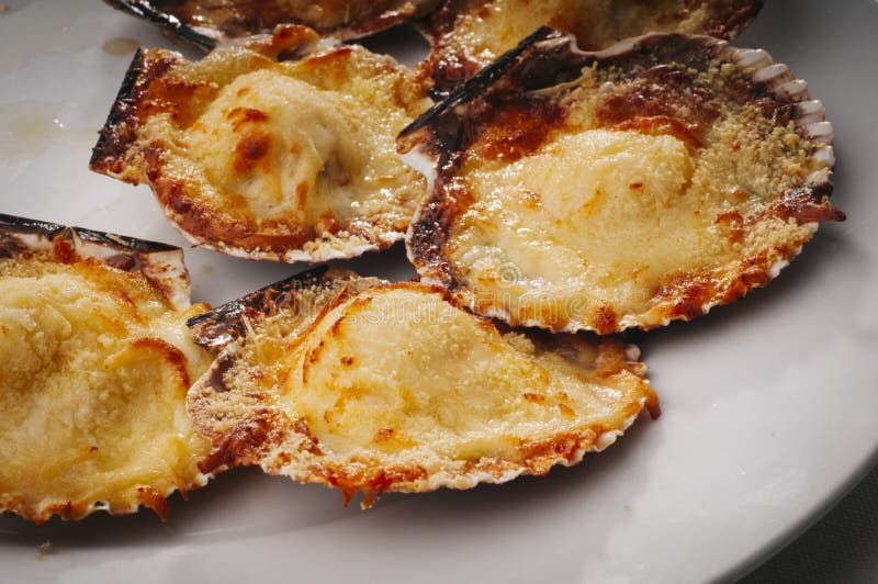 Scallops stock photo. Image of grilled, cooked, meal - 120445820