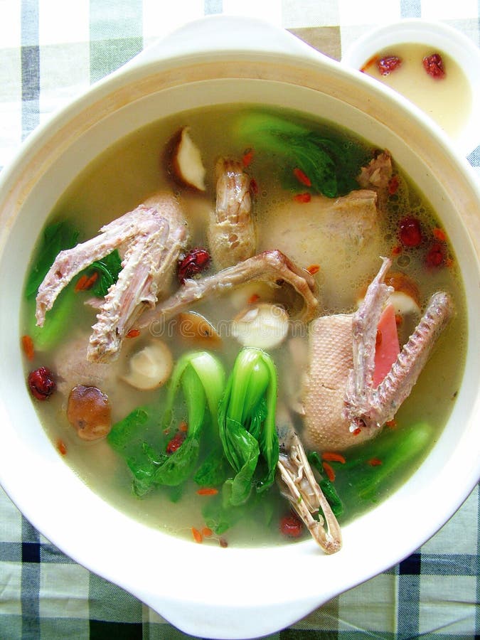 Fresh delicious duck soup stock image. Image of duck - 38269701